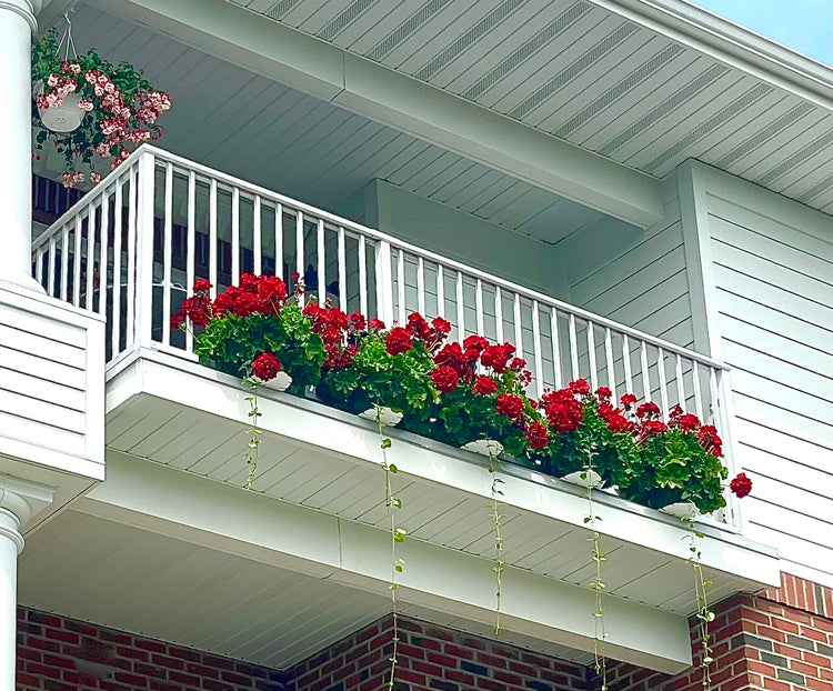 Floating Vertical Gardens with Tool-Free Railing Planters – Plant Traps
