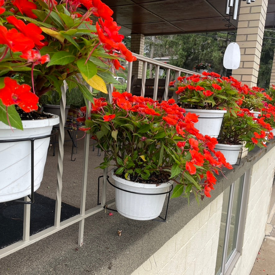 Floating Vertical Gardens with Tool-Free Railing Planters – Plant Traps
