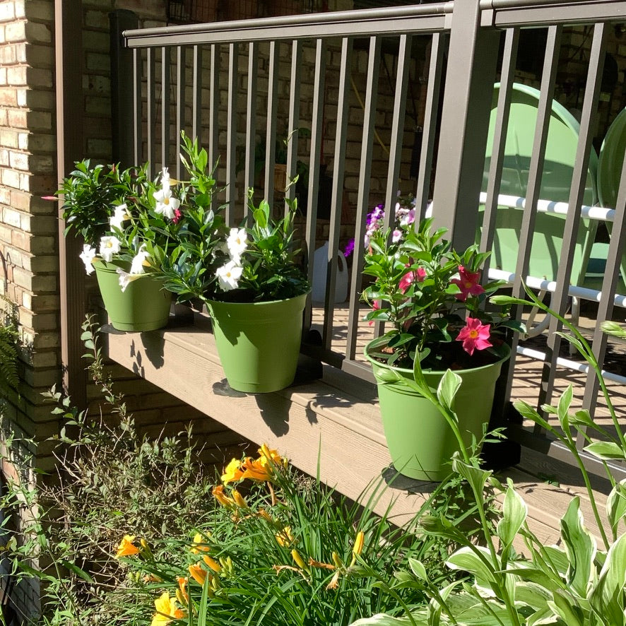 RailScapes™ Vertical Garden Clip – Plant Traps