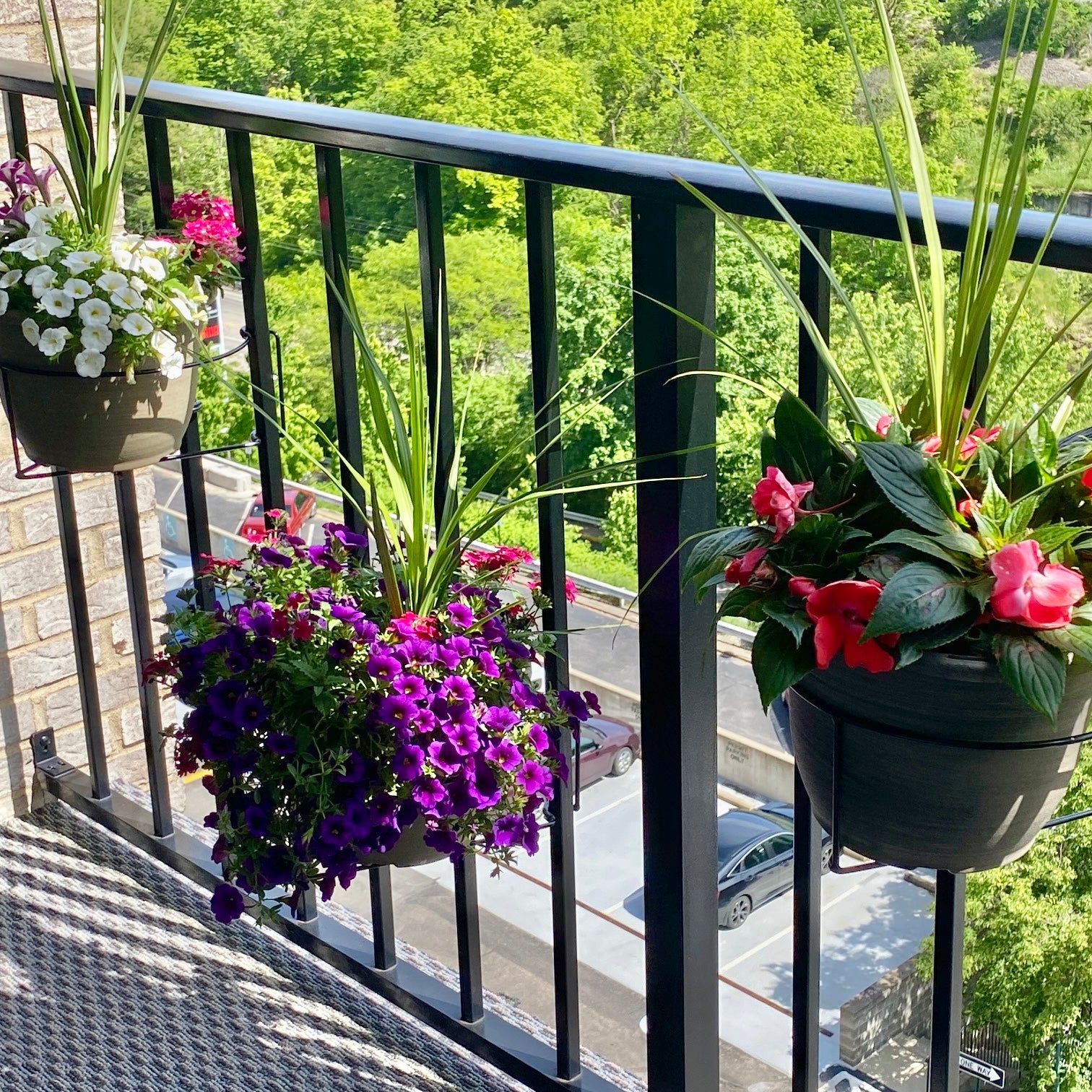 RailScapes™ Vertical Garden Clip – Plant Traps