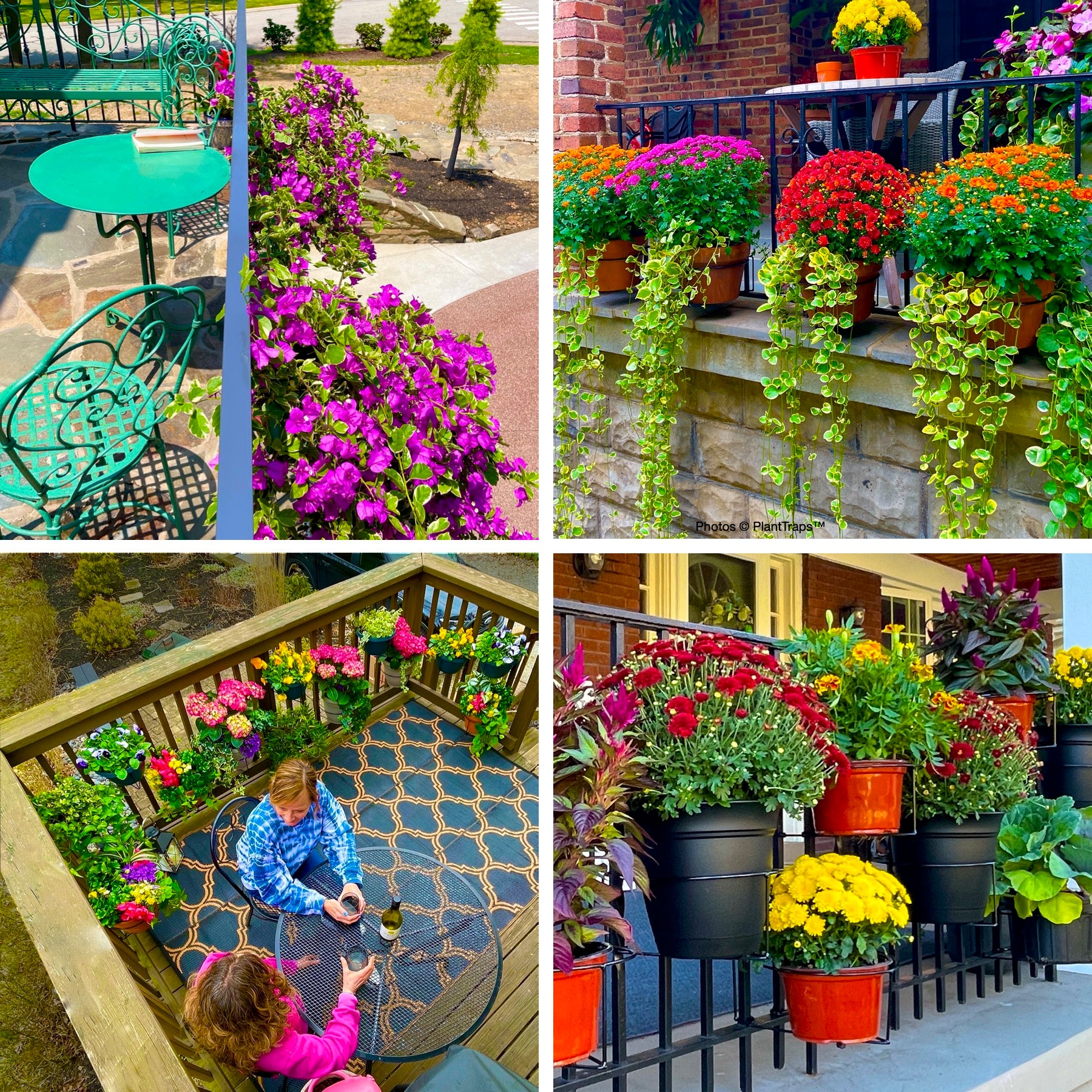 RailScapes™ Vertical Garden Clip – Plant Traps